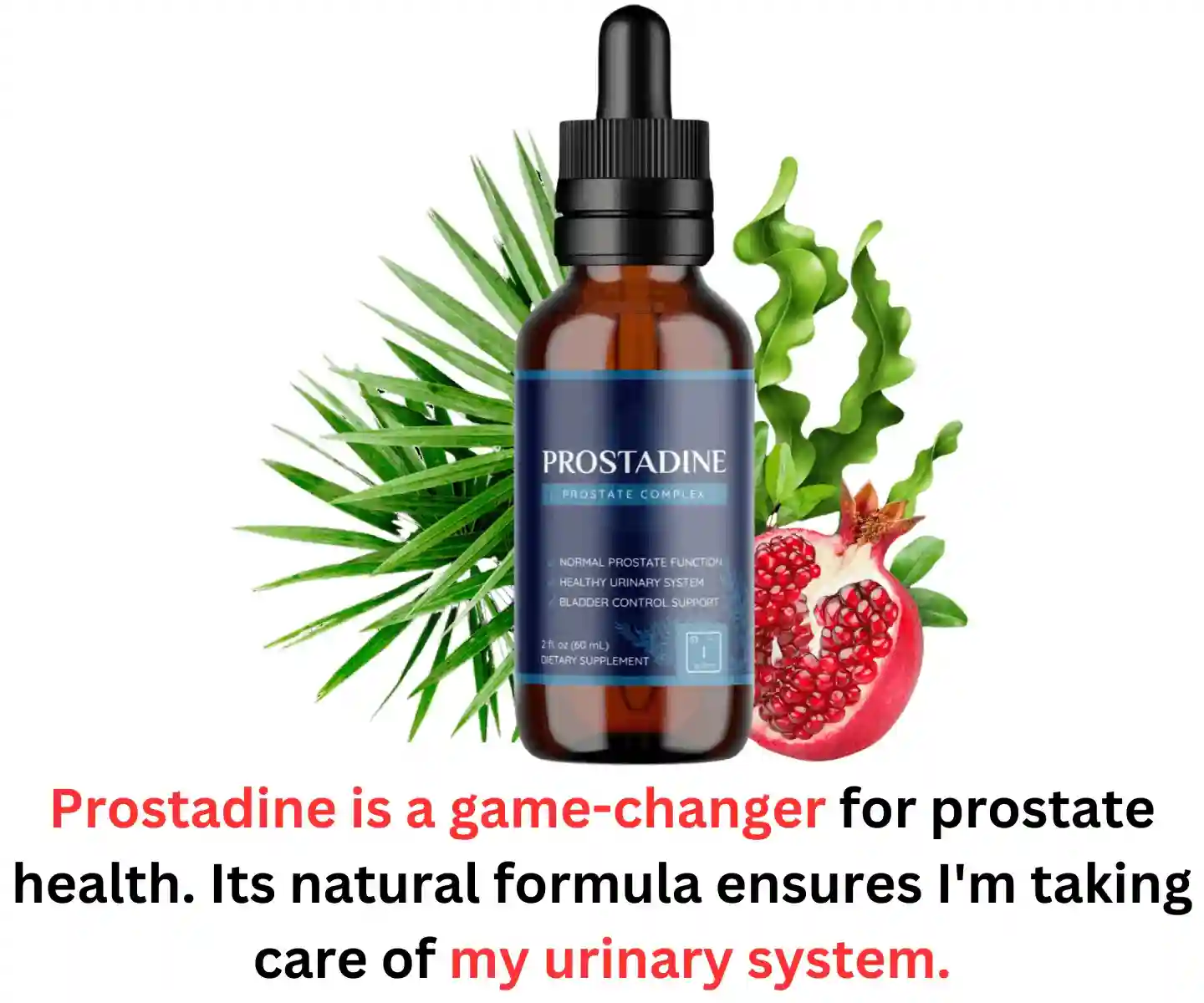 Prostadine® (OFFICIAL SITE) | Prostate Health & Urinary Comfort